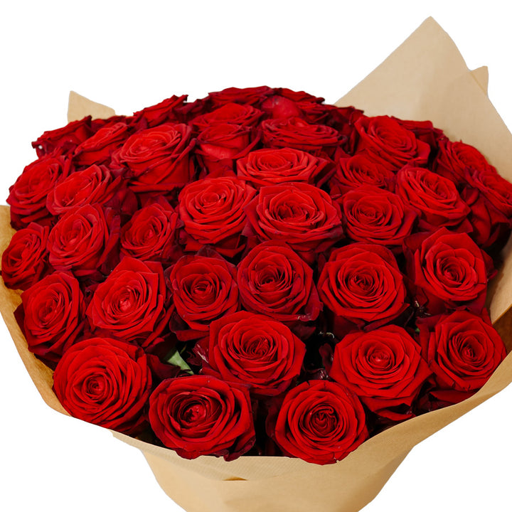 Red Naomi Rozen – Porta Nova